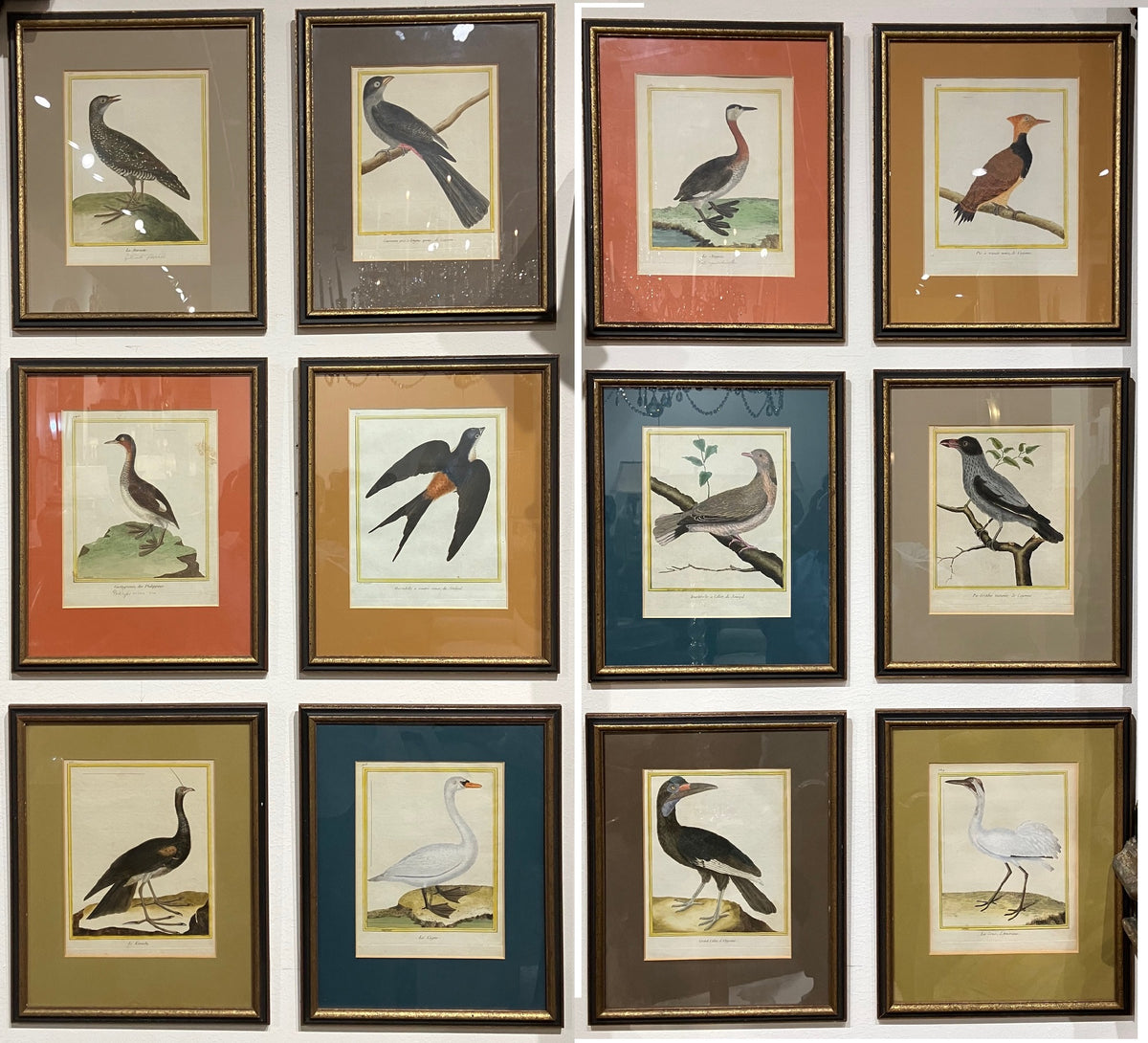Hand-Colored Bird Engravings by Francois-Nicolas Martinet (1731-c. 179 ...
